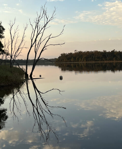 Six great fishing dams in Queensland | Gone Fishing with Greenie